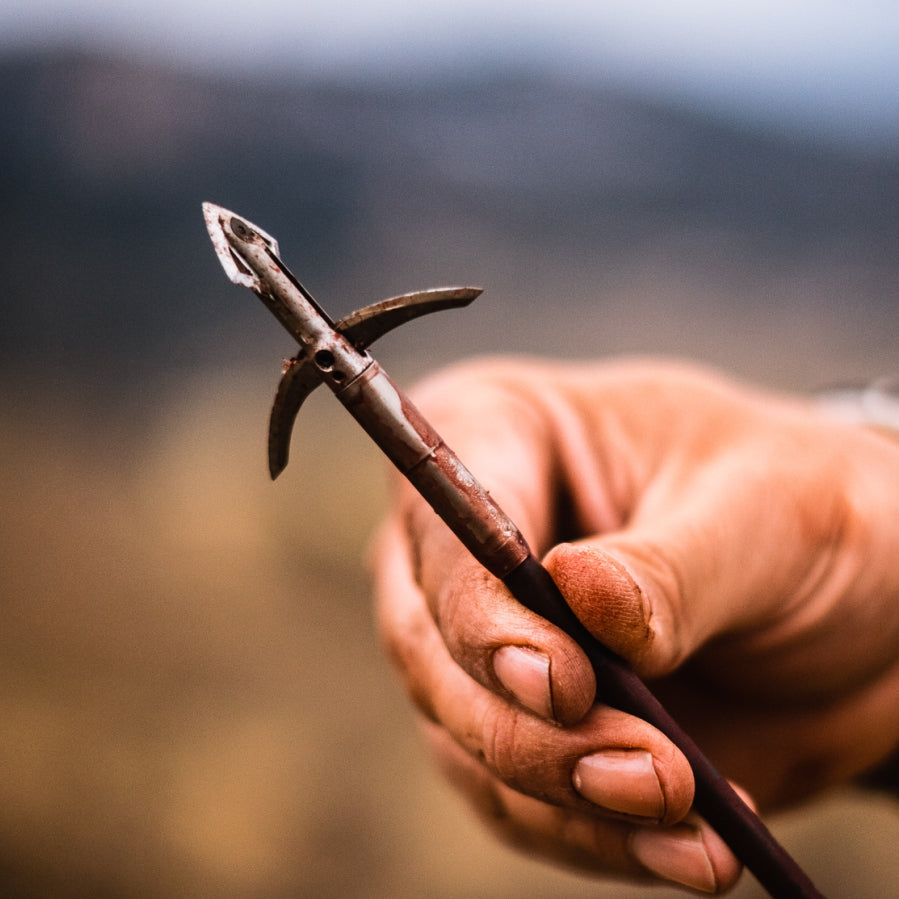 Evolution Outdoors – EVOLUTION OUTDOORS